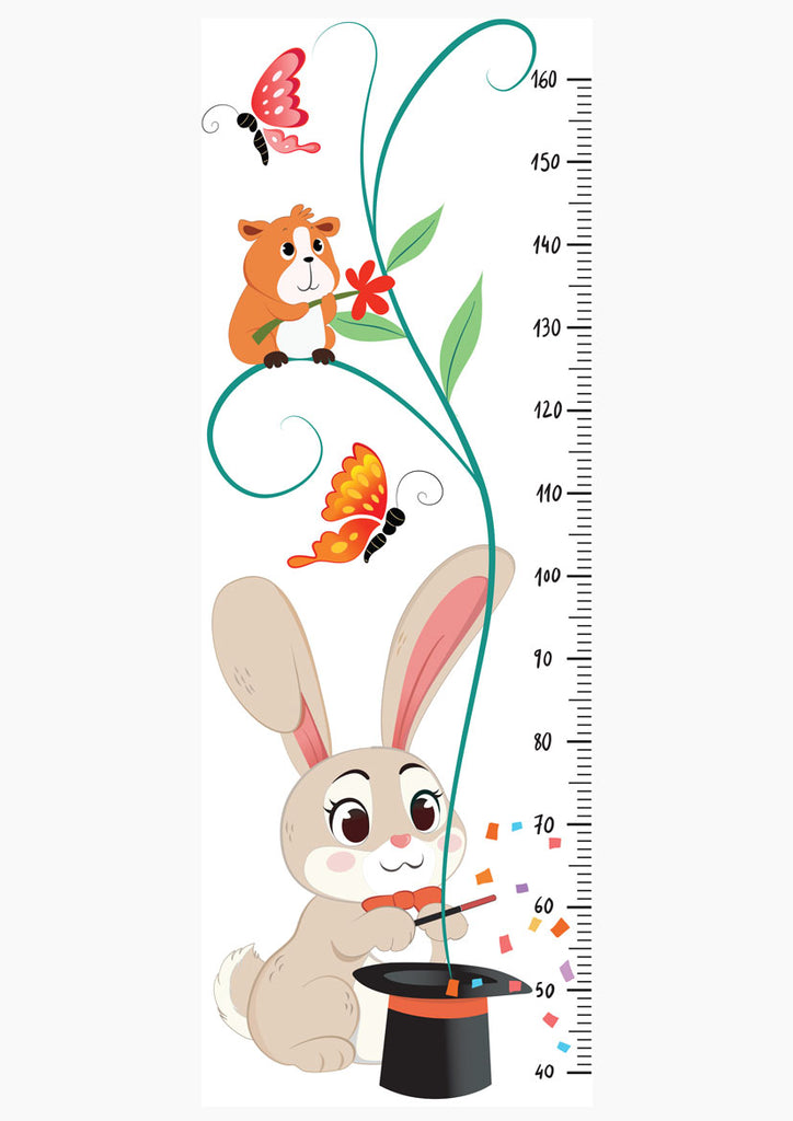 Quality Height Charts for Kids – Kids Posters Australia
